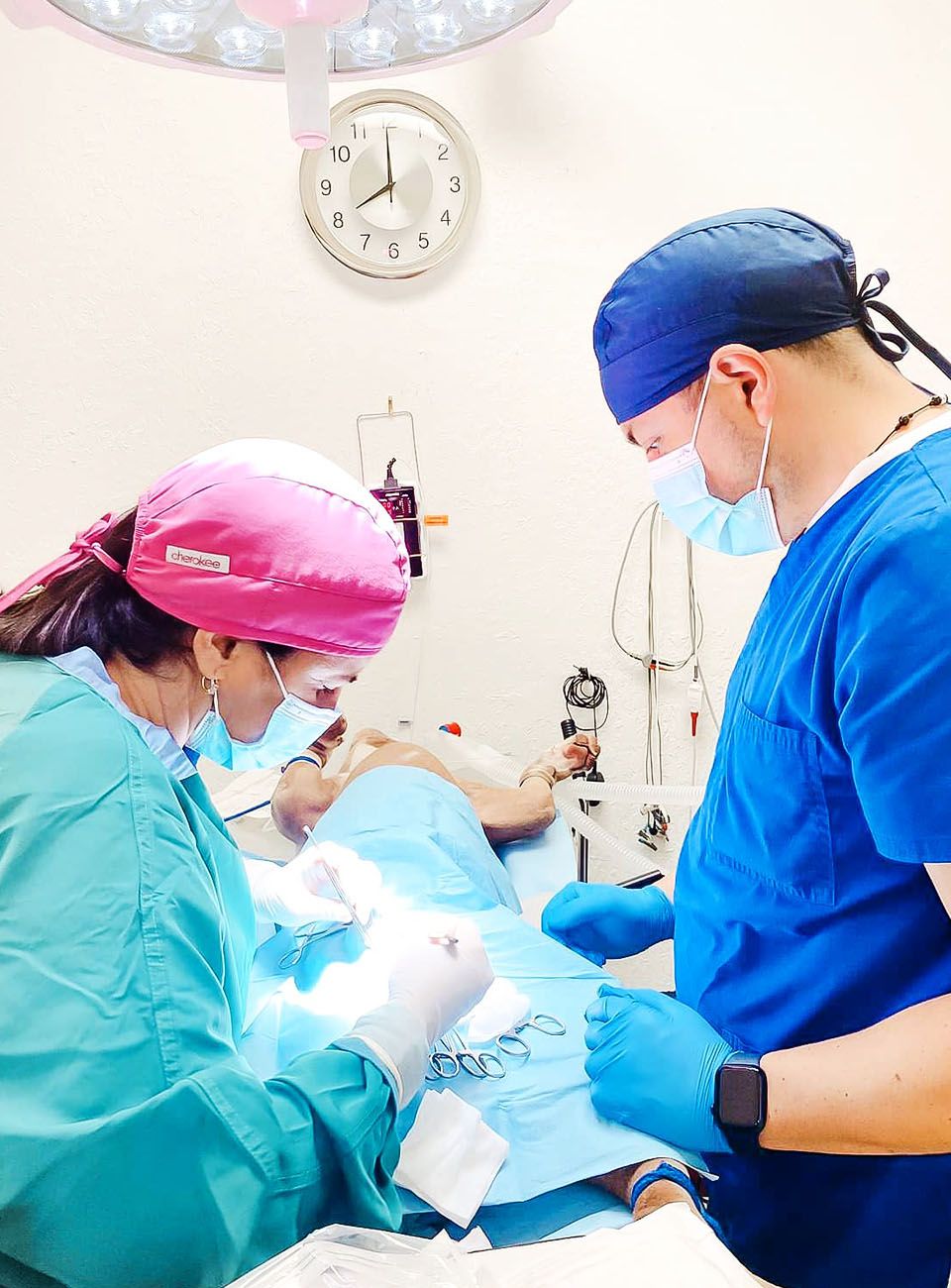 Mass Removal Surgery Miami, Kendall, Sweetwater | Dollys Animal Clinic